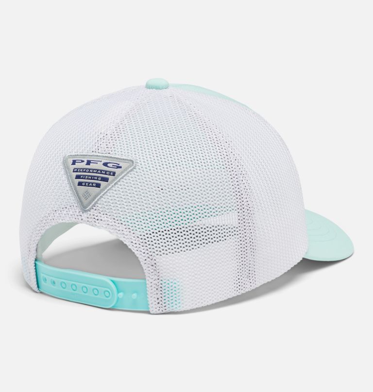 PFG Logo 110 Snapback Cap